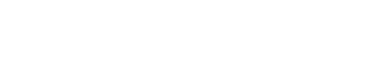 Basis 51